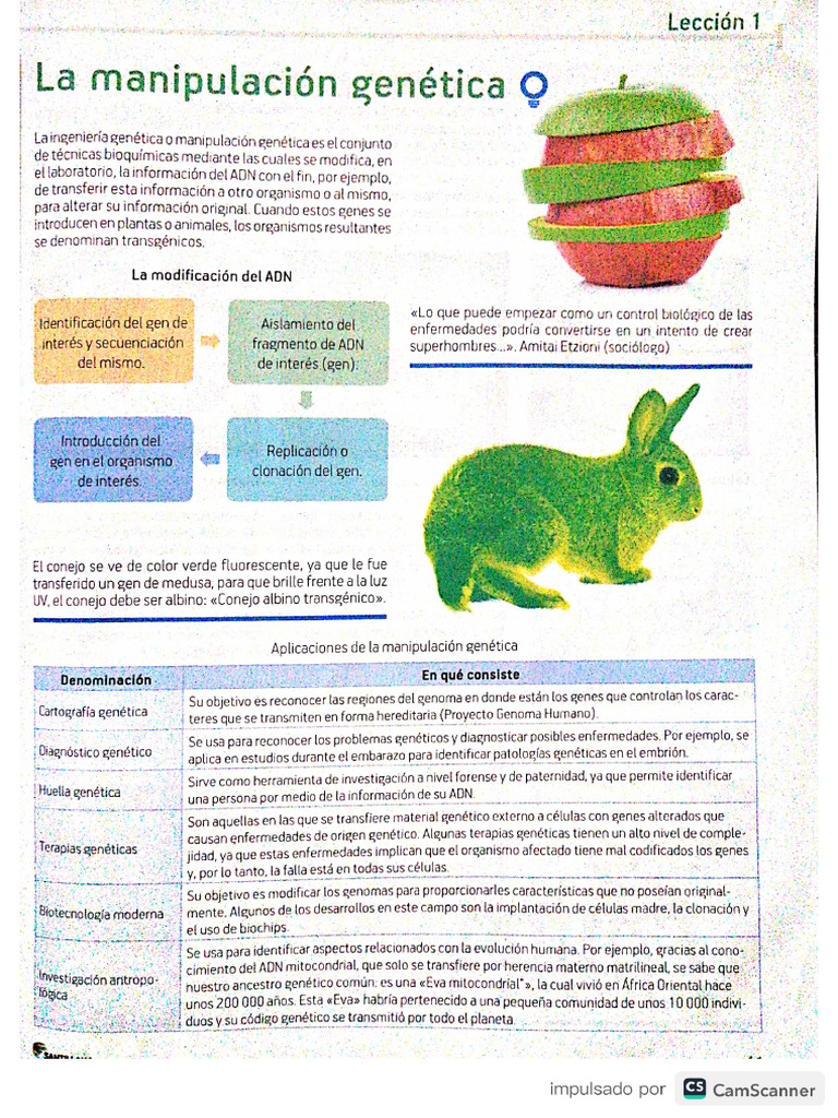 Manipulación Genética | PDF