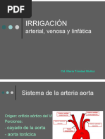 Irrigación de Los Dientes y Cavidad Bucal | PDF | Lengua | Anatomía humana