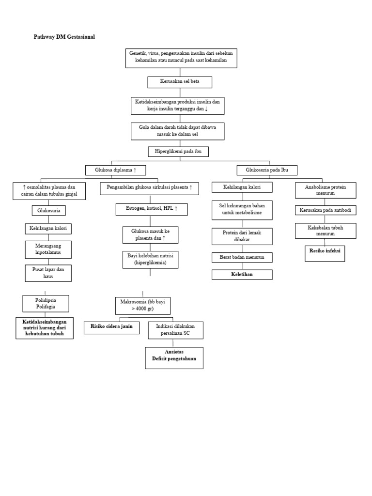 pathway dm gestasional | PDF