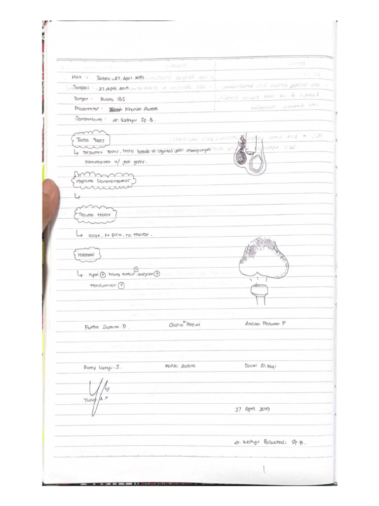 - Air Fluid Level. | PDF