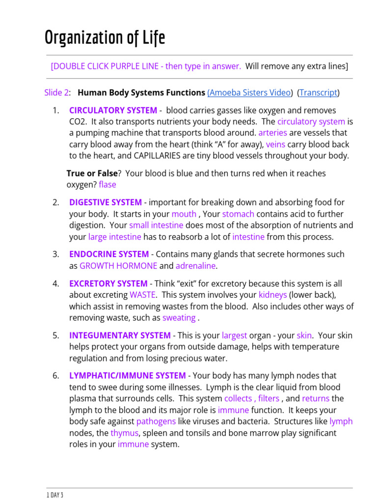 Organization of Life Student Notes | PDF | Human Body | Blood