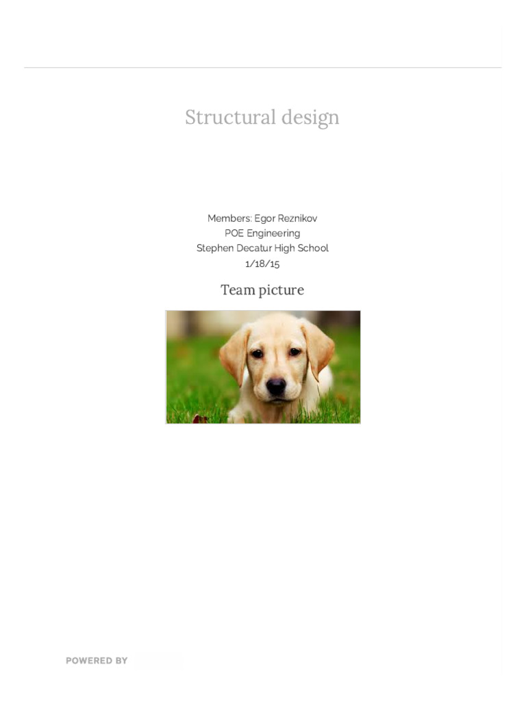 Structural Design - Egor Reznikov | PDF | Steel | Truss