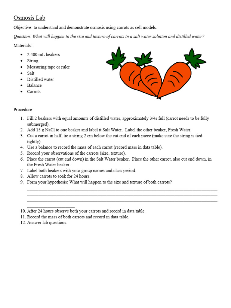 Demo Osmosis Lab Doc X Pdf Osmosis Physical Sciences