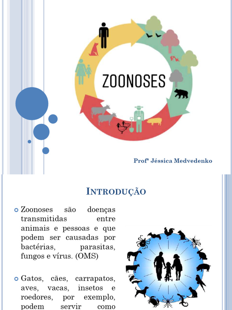 Aula 18 - Zoonoses | PDF