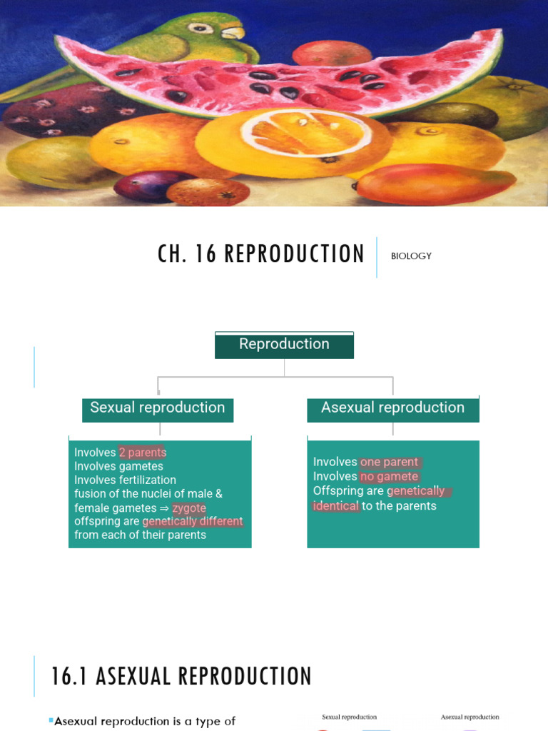 Ch. 16 Reproduction: Biology | PDF | Sexually Transmitted Infection ...