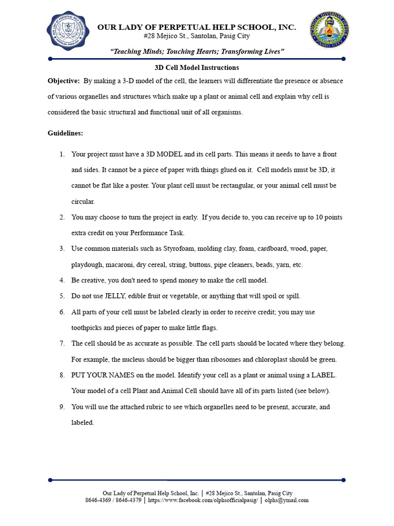 PT - Q2 - 3D Cell Model Instructions | PDF