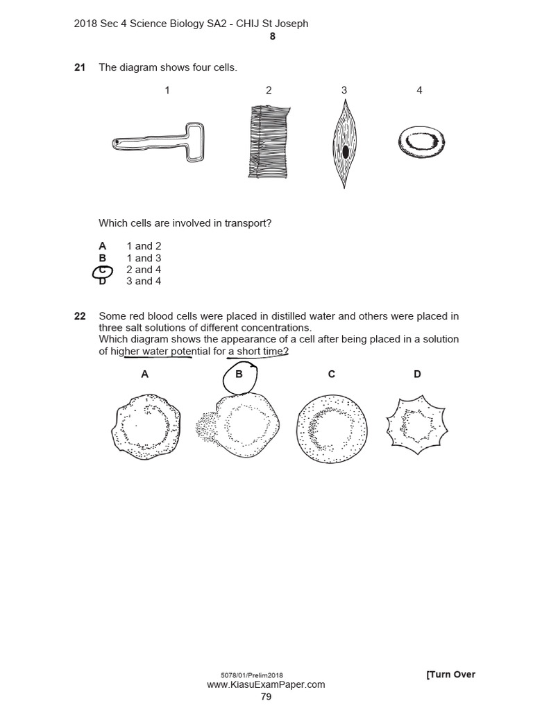 Biology Exam Paper: Transport & Enzymes | PDF | Pollination | Leaf