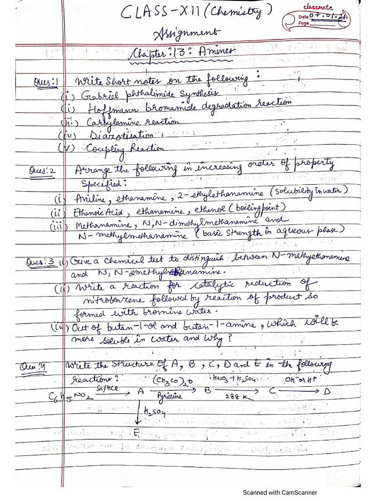 CH 13 Assignment | PDF