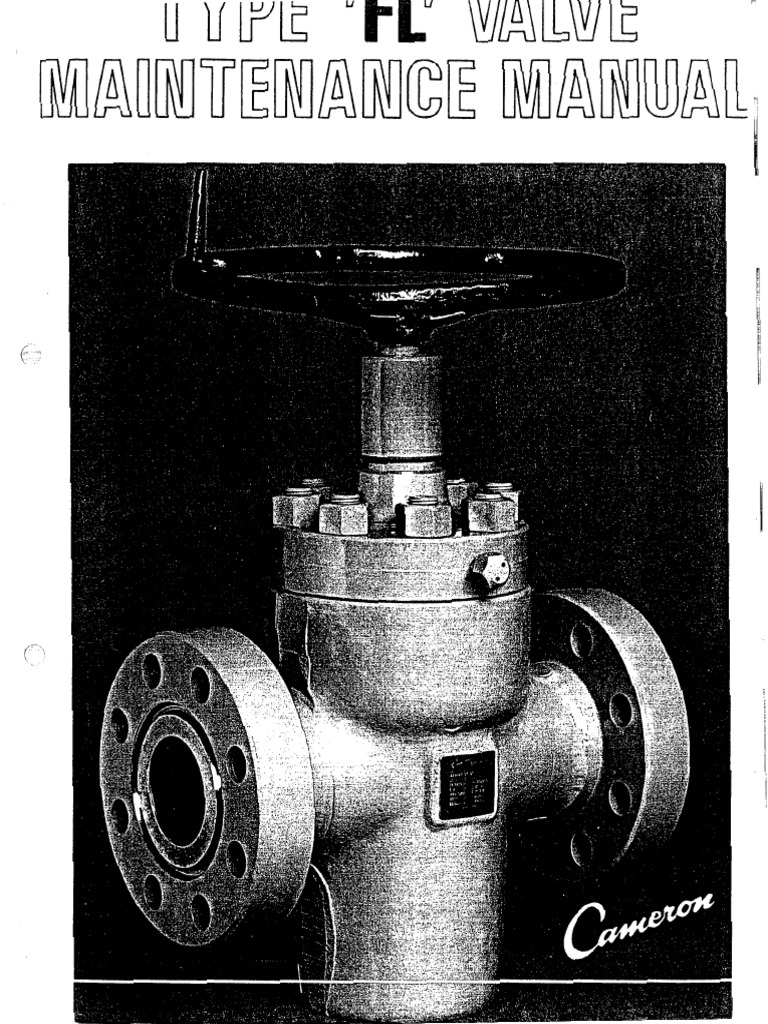 Cameron Model FL Gate Valves | PDF