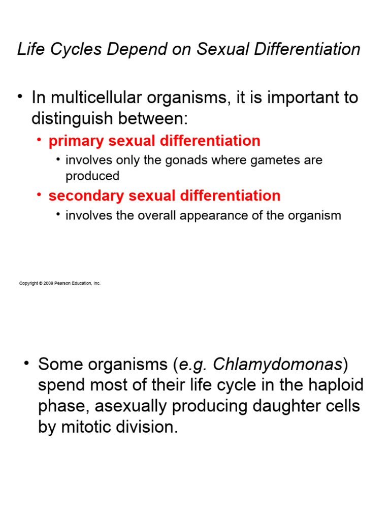 Sex Determination And Sex Chromosomes Pdf