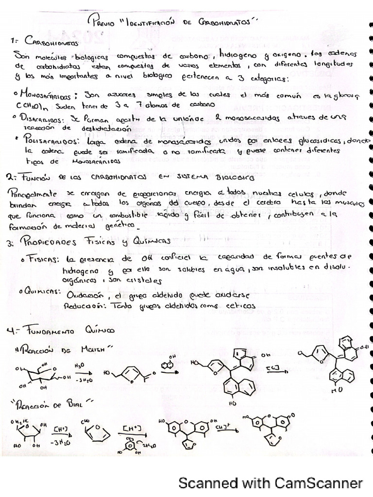 Carbohidratos Previo | PDF