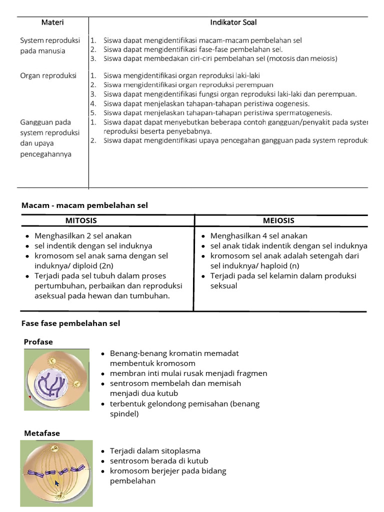 Catatan Soal Pembelahan Sel Dan Organ Reproduksi | PDF