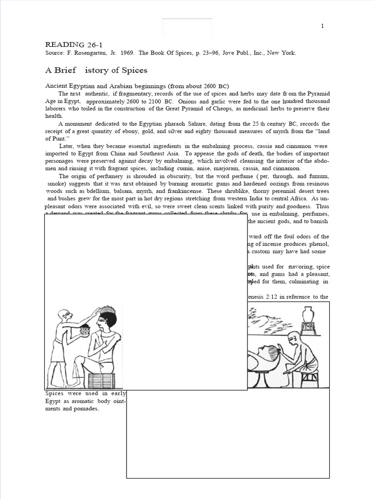 History of Spice-1 | PDF