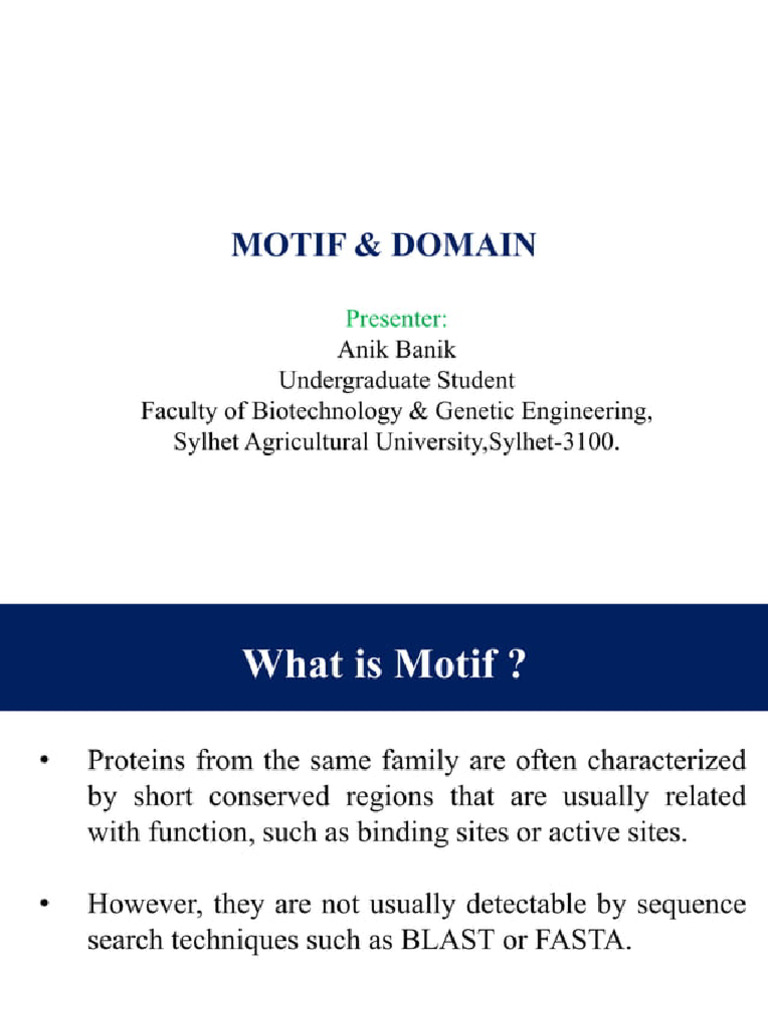 Motif Domain | PDF