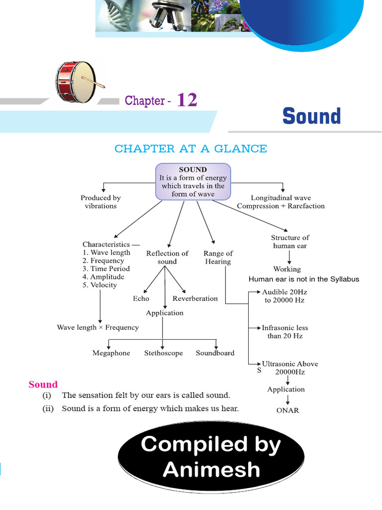 Class 9 Science: Sound Chapter Overview | PDF | Sound | Frequency