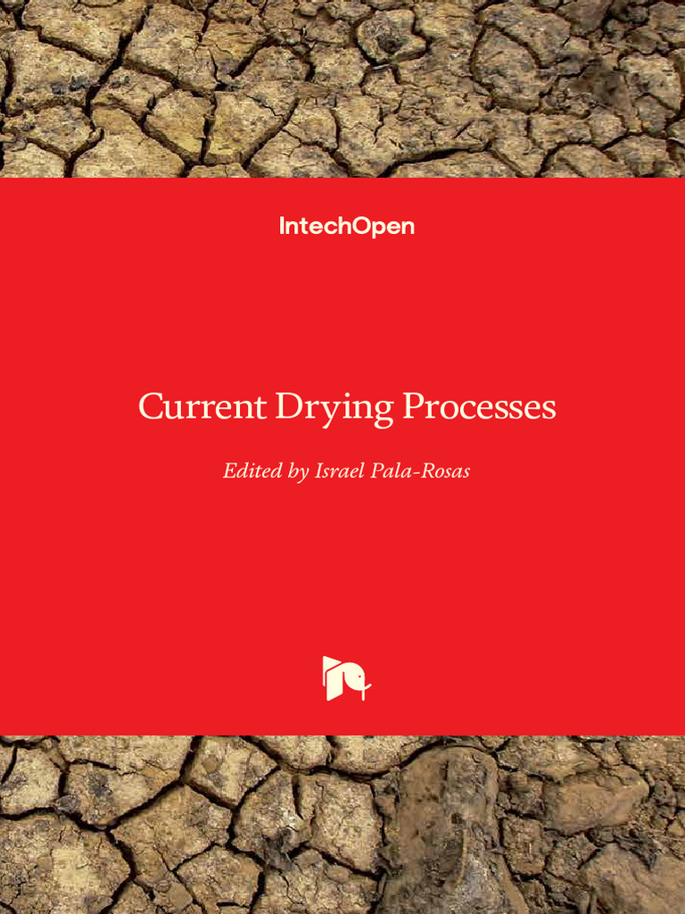 Current Drying Processes | PDF