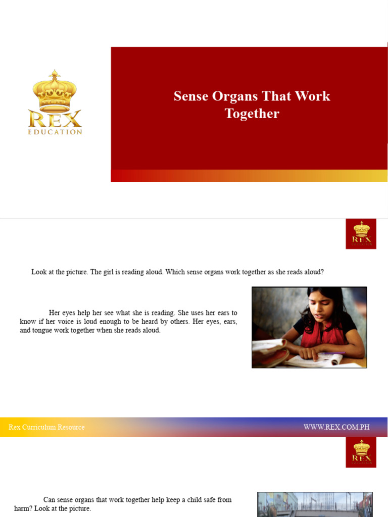 Sense+Organs+That+Work+Together | PDF | Senses | Optometry