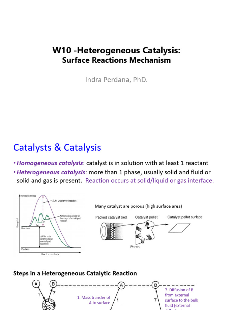 W10. Surface Reaction in Catalysis | PDF | Adsorption | Catalysis