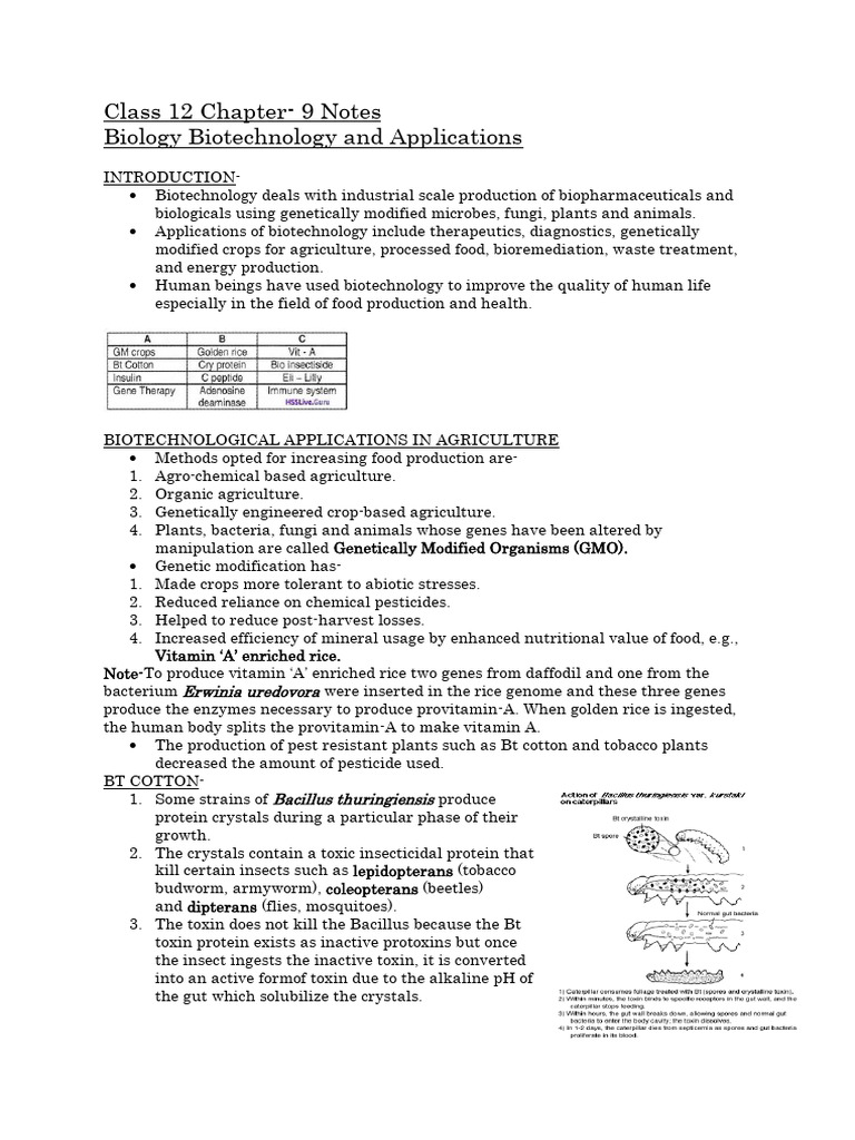Chapter-10 Class 12biology | PDF | Rna Interference | Rna