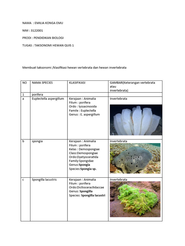 Quis 1 Taksonomi Hewan | PDF | Sains & Matematika | Dewasa Muda