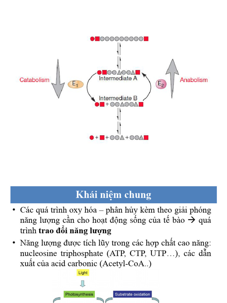 Bai-giang-Vi Sinh Moi Truong 3 | PDF
