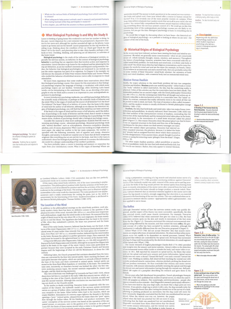 Neuropsychology | PDF