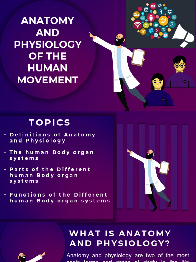 Lymphatic, Digestive and Endocrine System | PDF | Lymph | Human Body