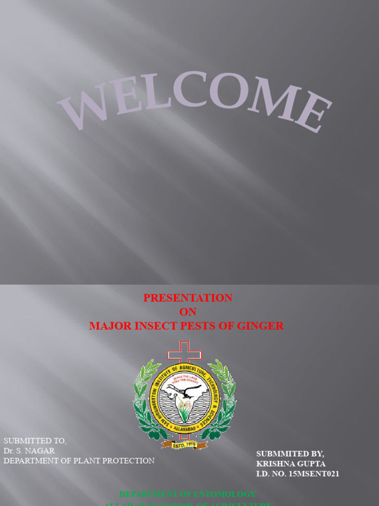 Major Insect Pests of Ginger | PDF | Pupa | Biological Pest Control