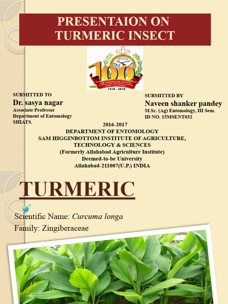Major Insect Pests of Turmeric | PDF | Pupa | Turmeric