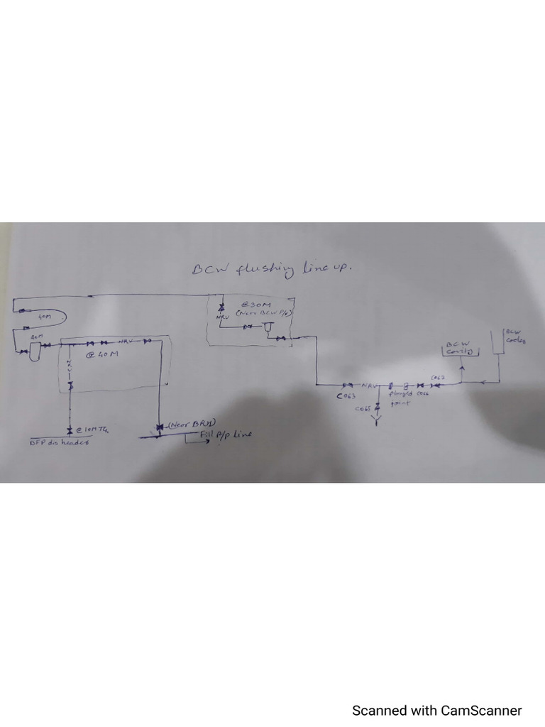 BCW Cavity Flushing | PDF