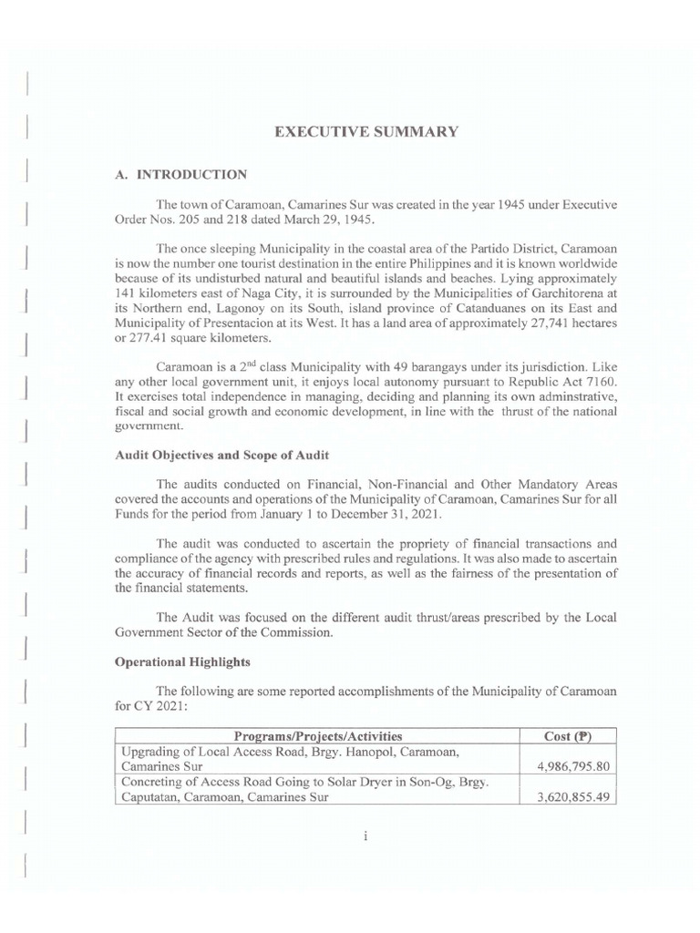 Caramoan Executive Summary 2021 | PDF