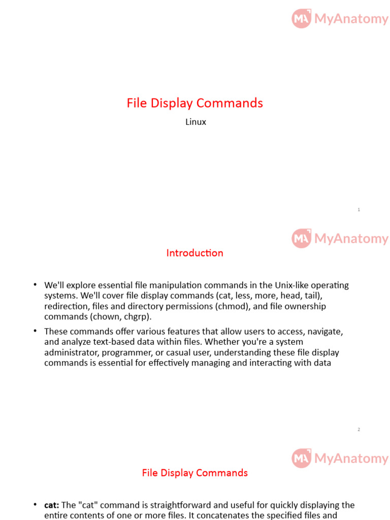 File Display Commands (26-30) | PDF | Computer File | Filename