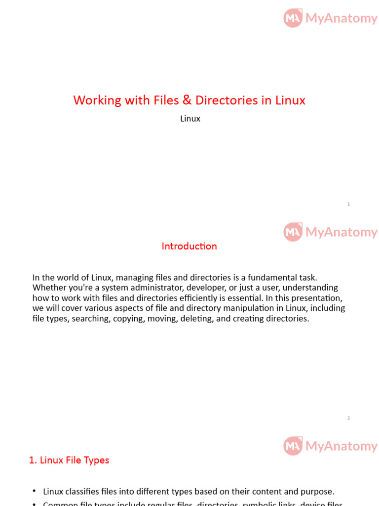 Working With Files - Directories in Linux (21-25) | PDF | Computer File | Filename