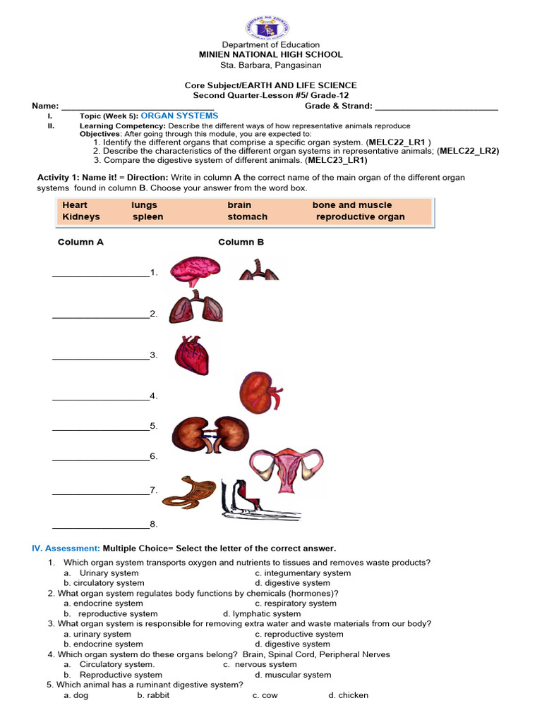 ELS Q2 Mod 5-6-2023 Activities | PDF | Human Body | Skeletal Muscle