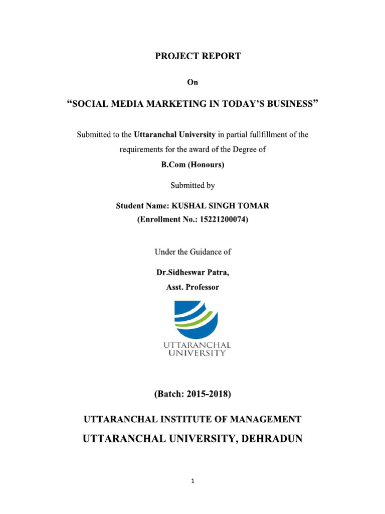 Social Media Booming Project | PDF