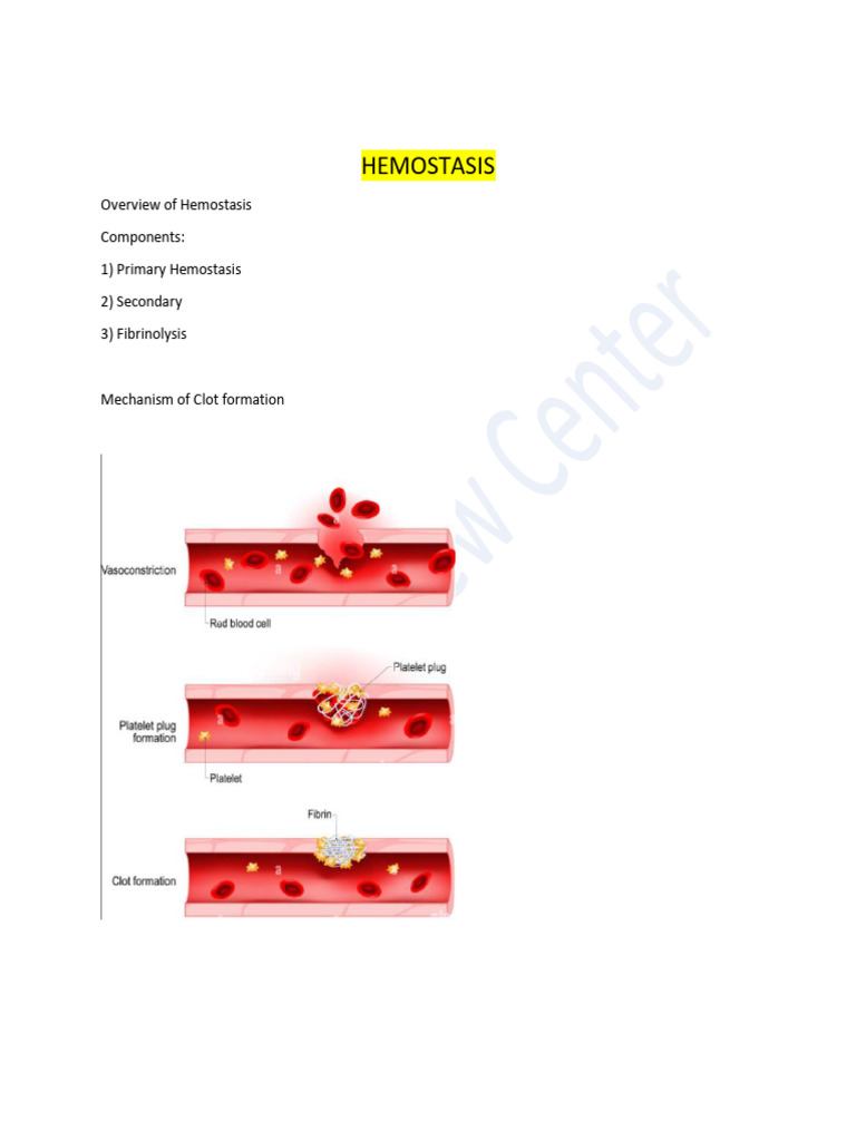 Hemostasis Coaching Notes | PDF | Platelet | Coagulation