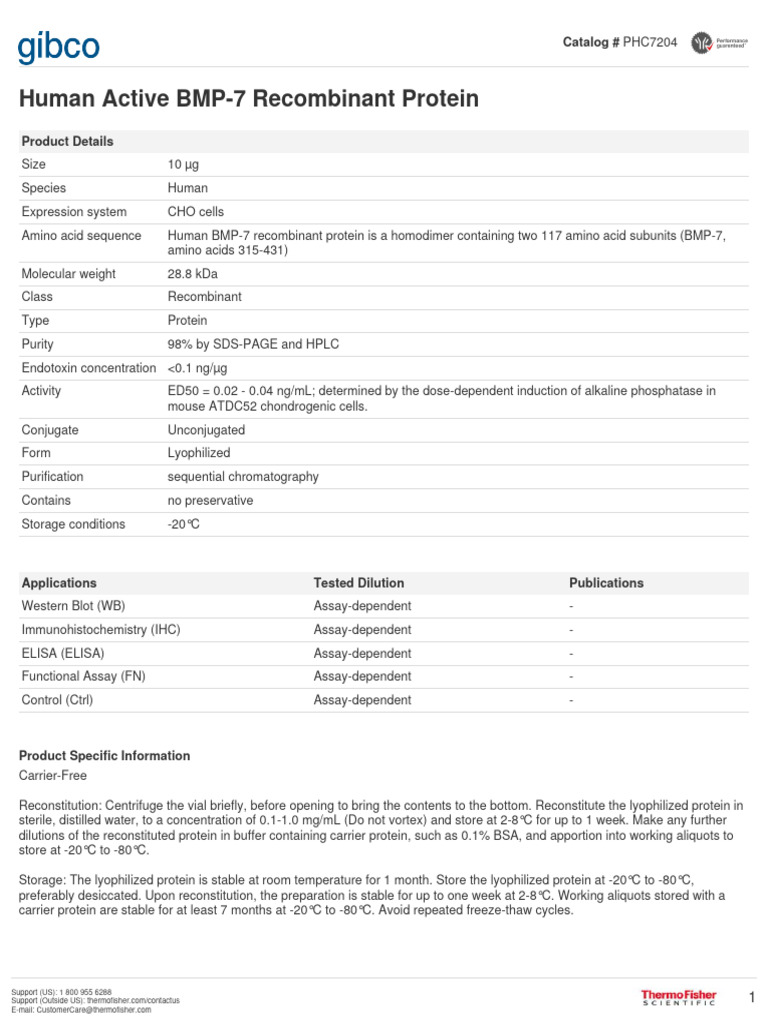Antibody Human Active BMP 7 | PDF | Proteins | Recombinant Dna