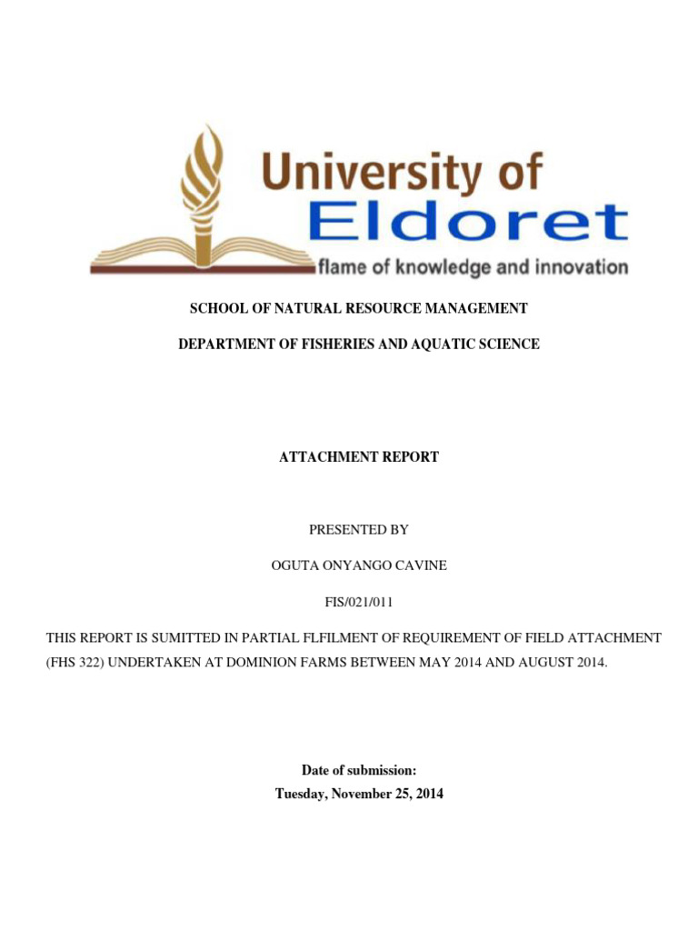Field Attachment Report PDF Document | PDF | Agriculture | Rice