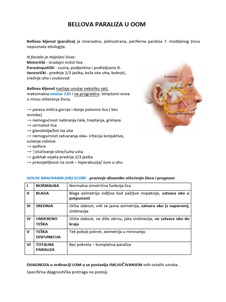 Bellova Paraliza | PDF