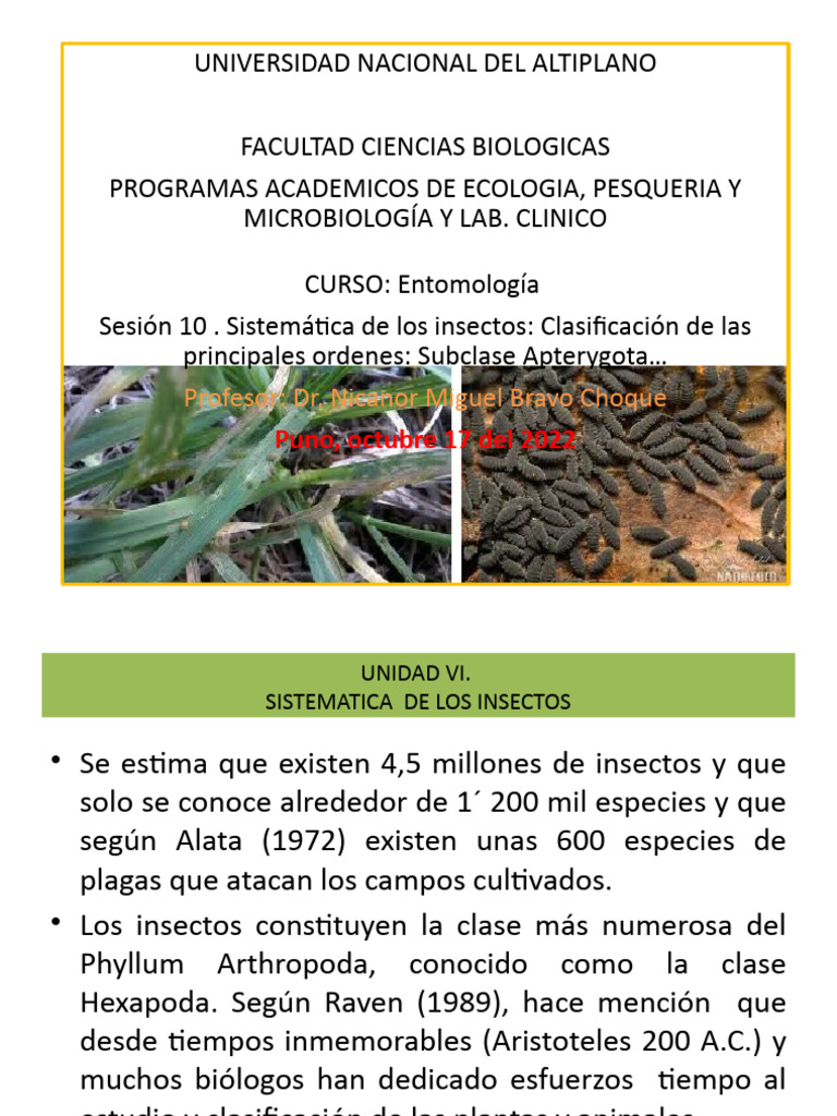 PPT. Sesión 10. Sistemat - Insectos.2019 | PDF | Taxonomía (biología ...