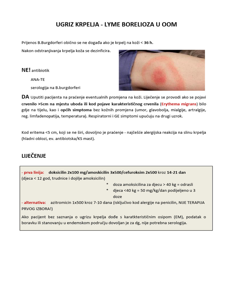 Ugriz Krpelja - Lyme Borelioza L | PDF