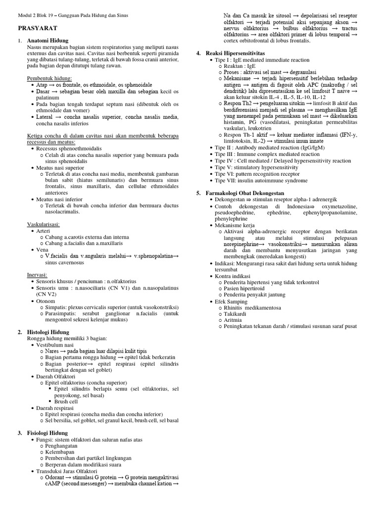 Soca M2B19 2023 | PDF | Sains & Matematika