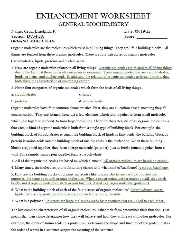Enhancement Worksheet | PDF | Dna | Carbohydrates