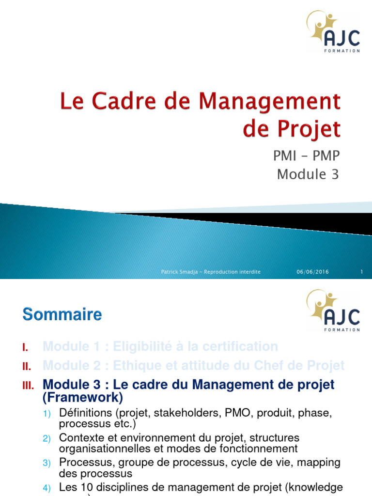 PMP - C12 - Framework | PDF