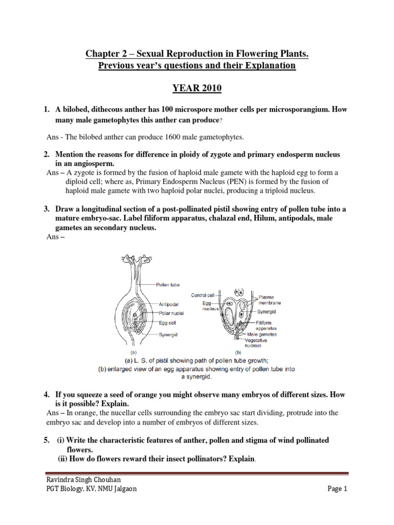 Previous Year Questions on Angiosperm Reproduction | PDF | Flowers ...