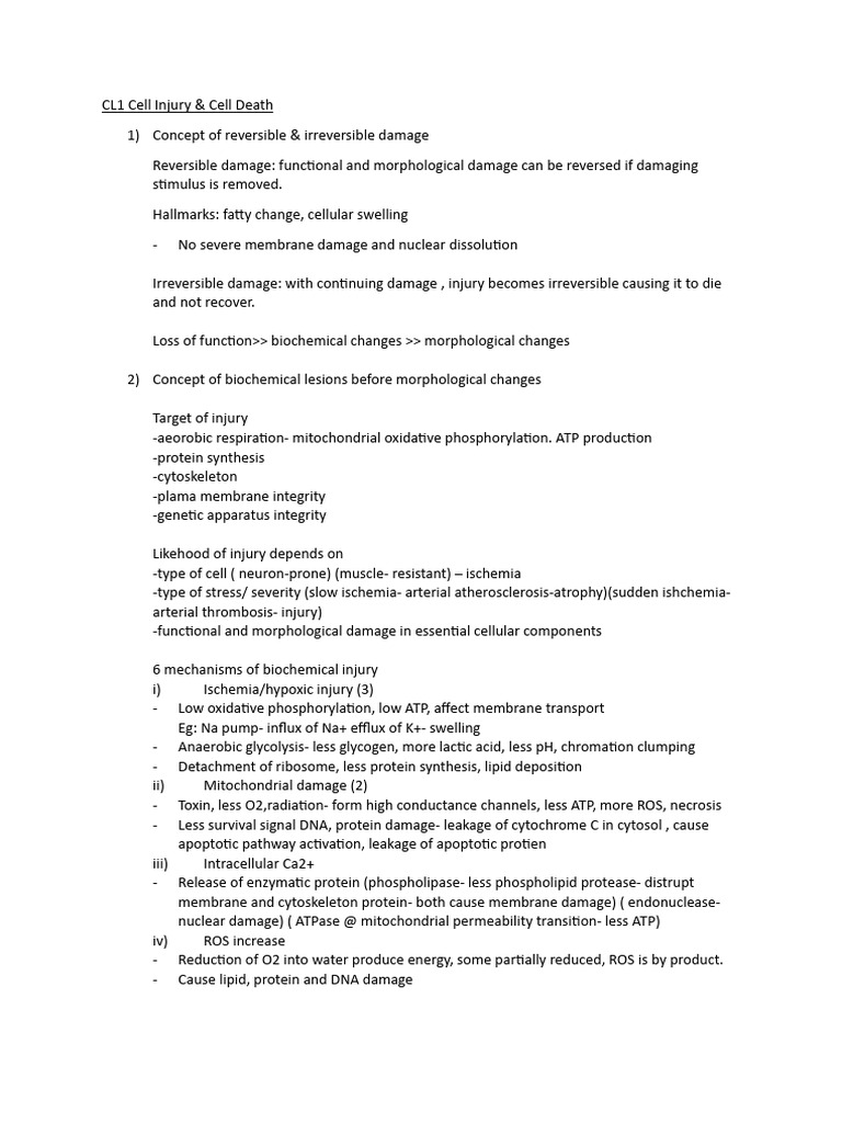 CL1 Cell Injury | PDF | Mitochondrion | Cell Membrane