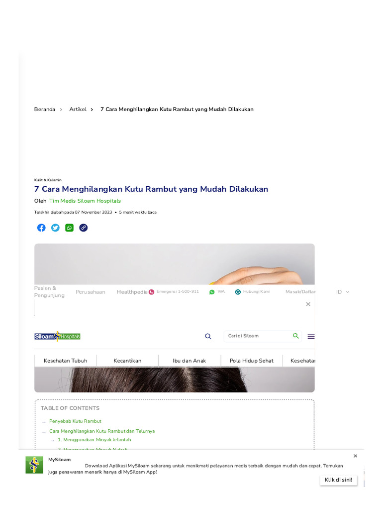 7 Cara Menghilangkan Kutu Rambut Yang Mudah Dilakukan | PDF