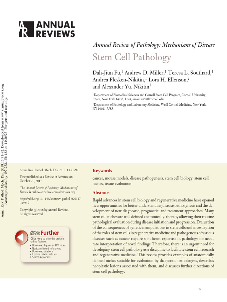 Stem Cell Pathology | PDF | Stomach | Stem Cell