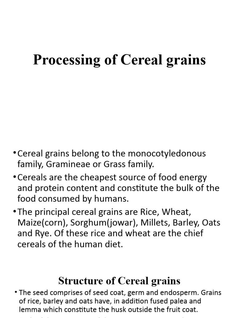 Cereal Grain Processing Overview | PDF | Flour | Cereals