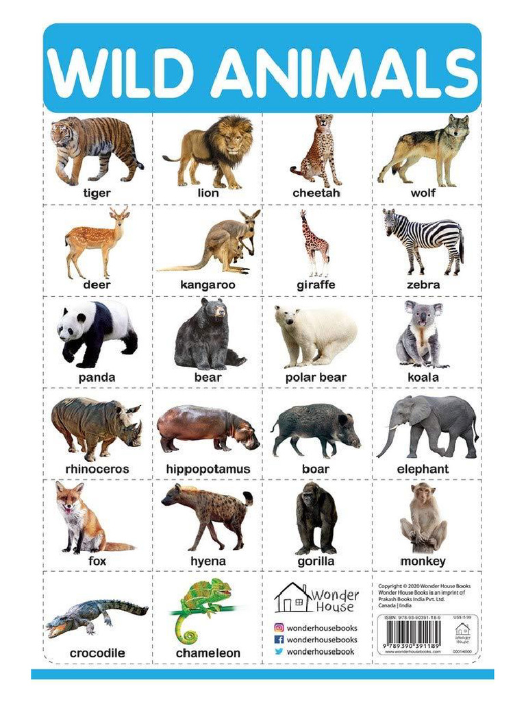 Wild Animals | PDF